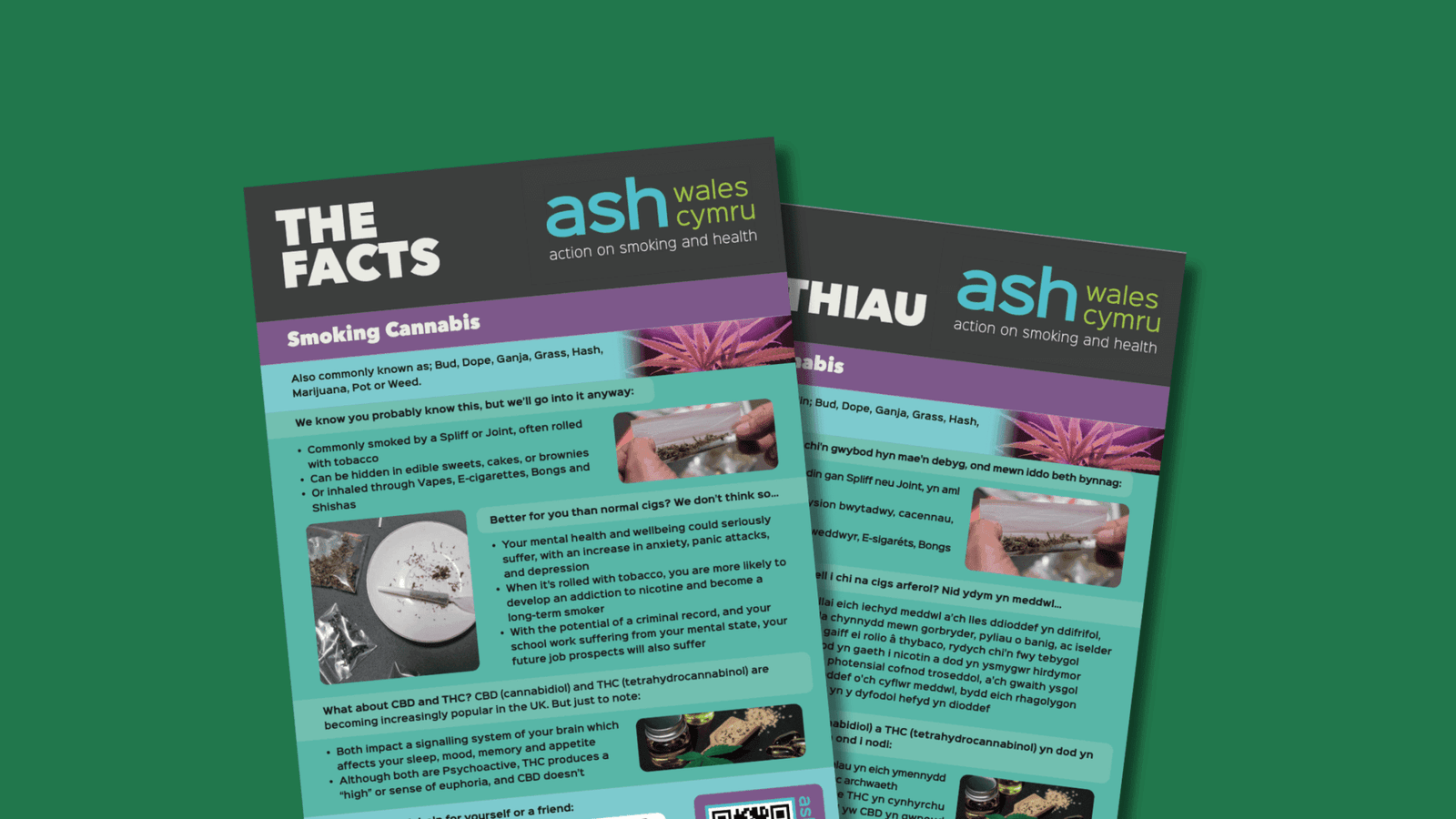 Cannabis Fact Sheet - Action on Smoking and Health